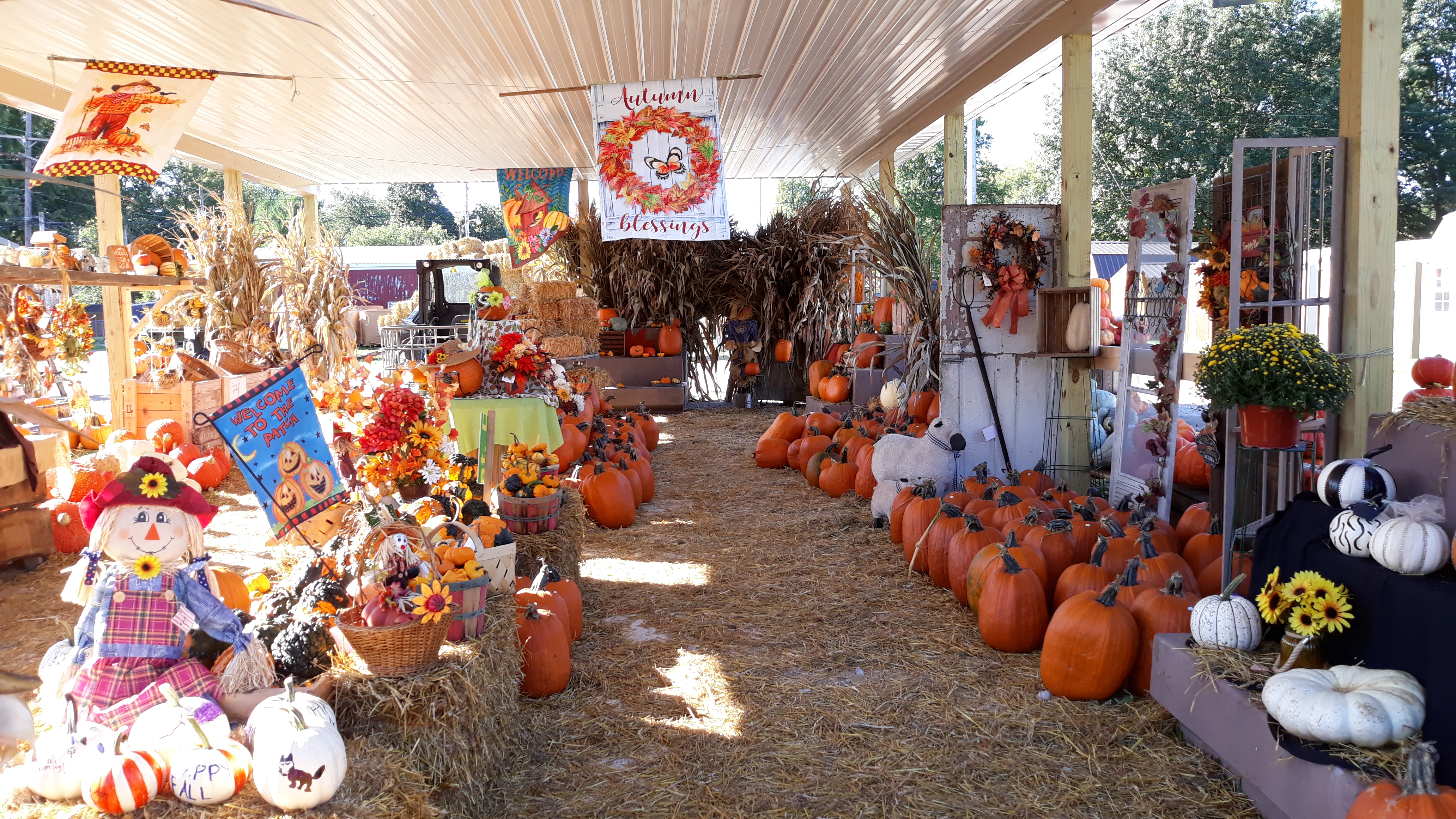 Fundraising Ideas – Indiana North District Optimists